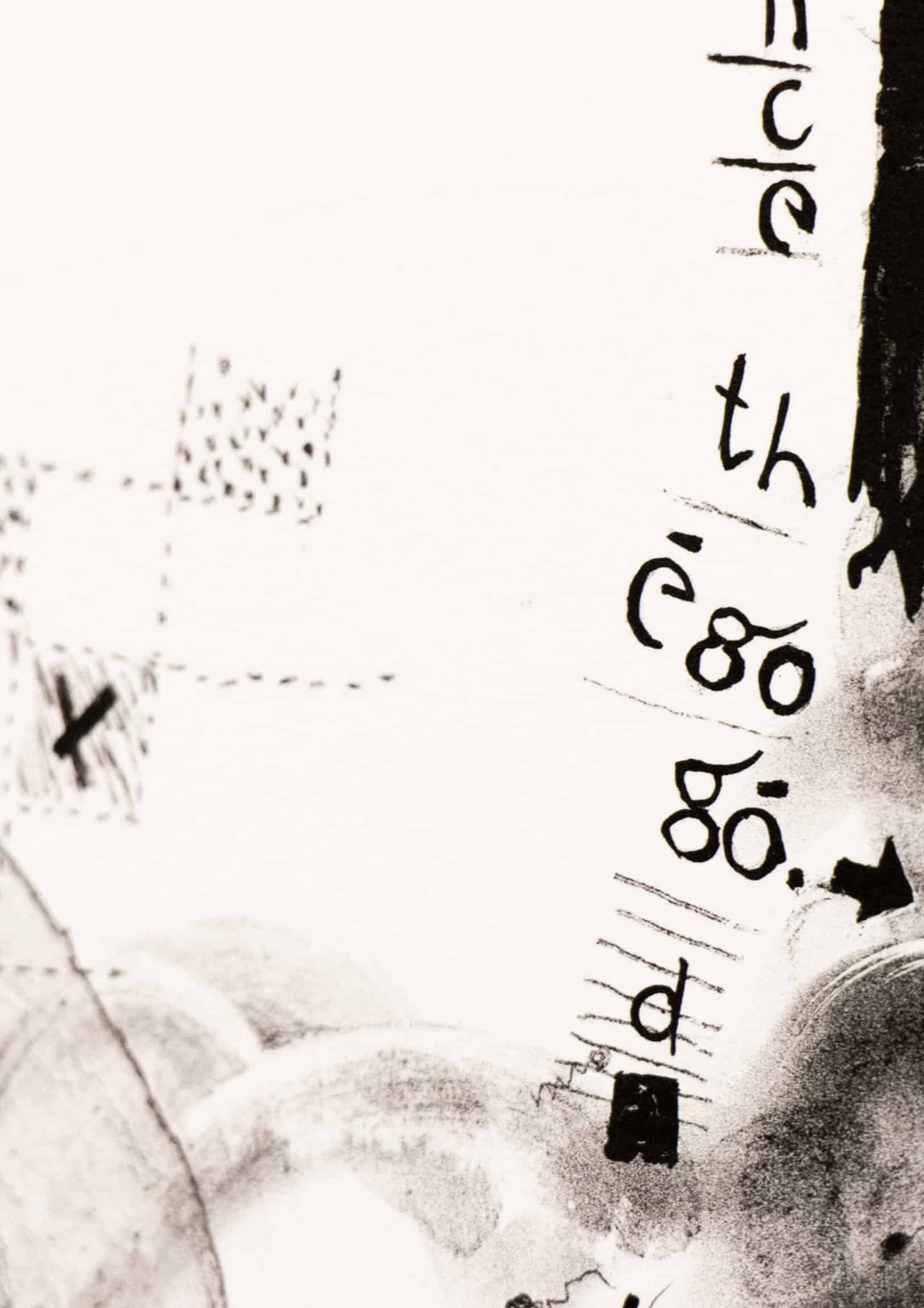 Ego-Go - Spartanburg Art Museum