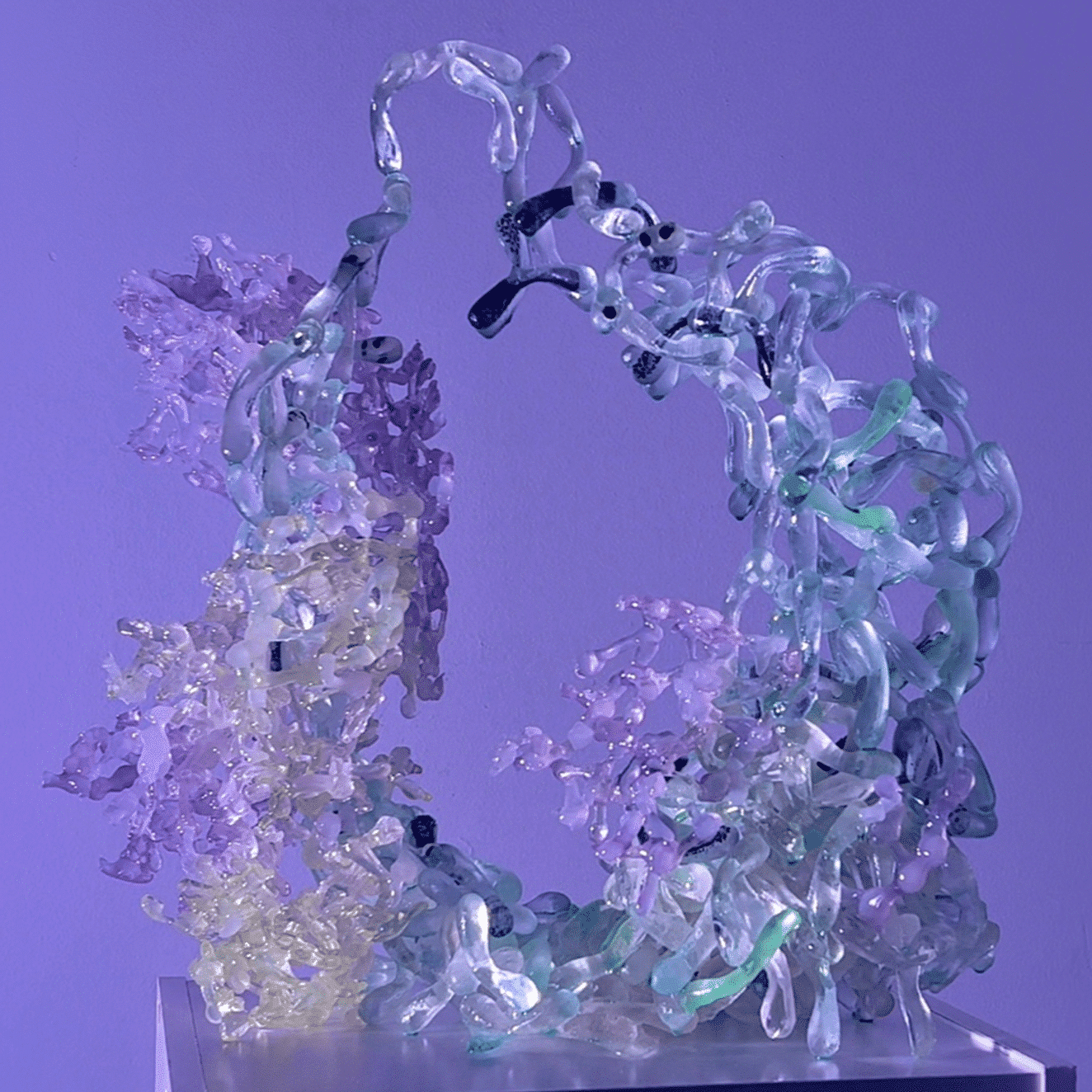 Art + Science Exhibit - Spartanburg Art Museum